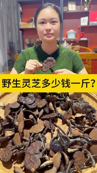 野生灵芝多少钱一斤_野生灵芝为什么这么贵-第3张图片-山城妙识