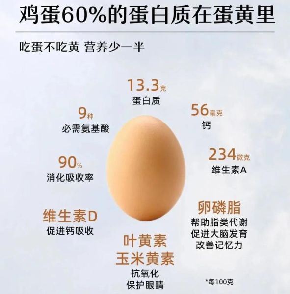 鸡蛋的营养价值与功效_每天吃鸡蛋会不会升高胆固醇-第1张图片-山城妙识