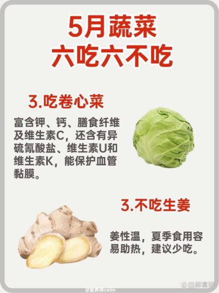 多吃蔬菜有什么好处_如何科学增加蔬菜摄入量-第3张图片-山城妙识