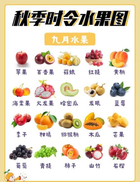秋季吃什么水果最好_秋季润燥水果推荐-第1张图片-山城妙识