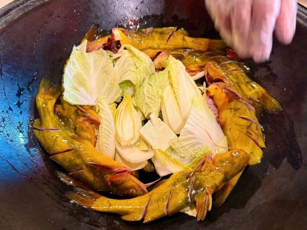 铁锅炖鲶鱼怎么做_铁锅炖鲶鱼的家常做法-第2张图片-山城妙识