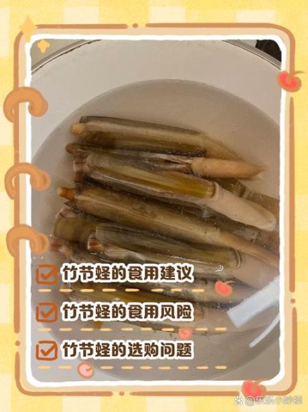 蛏子哪个部位不能吃_蛏子内脏图解-第2张图片-山城妙识