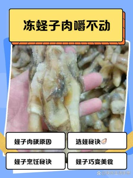 蛏子哪个部位不能吃_蛏子内脏图解-第1张图片-山城妙识