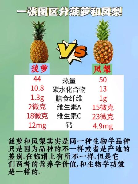 菠萝和凤梨的区别_如何一眼分辨-第1张图片-山城妙识