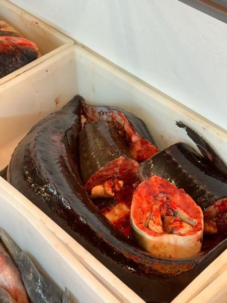 鳇鱼怎么做好吃_鳇鱼营养价值高吗-第2张图片-山城妙识