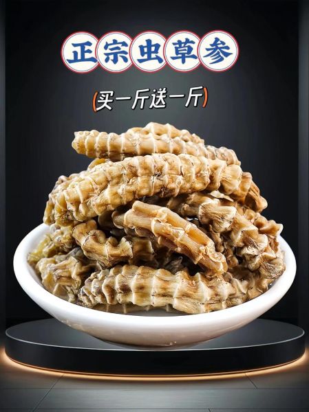 地参虫草图片_如何辨别真假-第1张图片-山城妙识