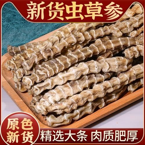 地参虫草图片_如何辨别真假-第2张图片-山城妙识