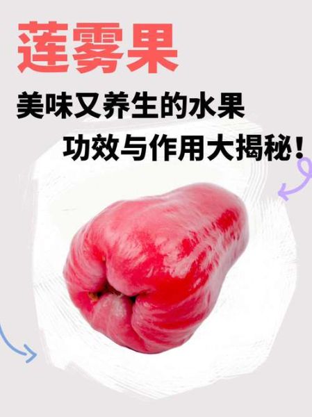 莲雾果一天吃几个合适_莲雾果的正确吃法-第1张图片-山城妙识 莲雾果一天吃几个合适_莲雾果的正确吃法-第1张图片-山城妙识