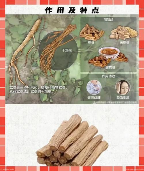 党参的功效与作用_党参怎么吃效果最好-第2张图片-山城妙识