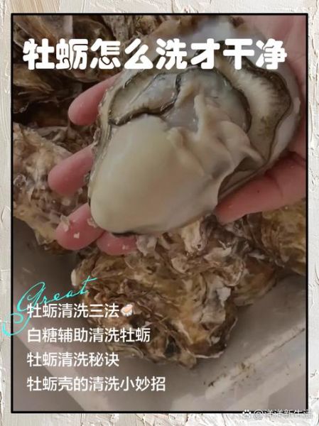 牡蛎怎么清洗图解_牡蛎清洗步骤图解-第1张图片-山城妙识