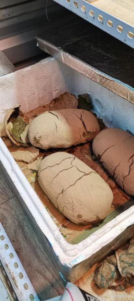 叫花鸡起源_怎么做才正宗-第2张图片-山城妙识