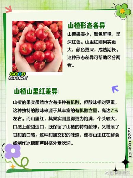山里红是什么东西_山里红和山楂的区别-第1张图片-山城妙识