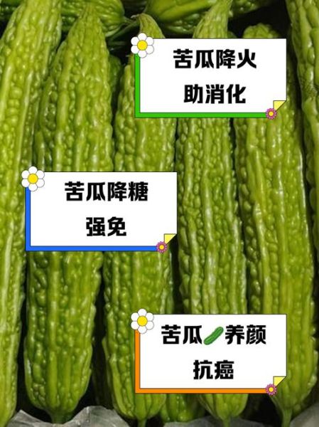 吃苦瓜的副作用有哪些_苦瓜吃多了有什么危害-第2张图片-山城妙识 吃苦瓜的副作用有哪些_苦瓜吃多了有什么危害-第2张图片-山城妙识