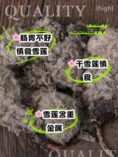 雪莲花怎么吃_雪莲花食用方法大全-第1张图片-山城妙识