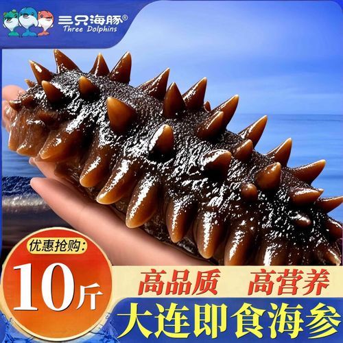一斤大连海参多少钱_大连海参价格影响因素-第3张图片-山城妙识