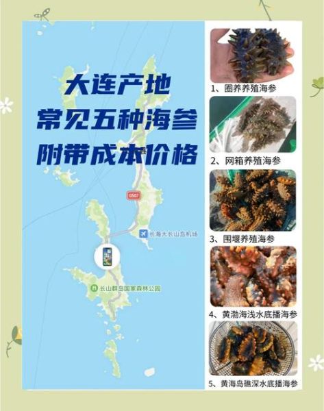 一斤大连海参多少钱_大连海参价格影响因素-第2张图片-山城妙识