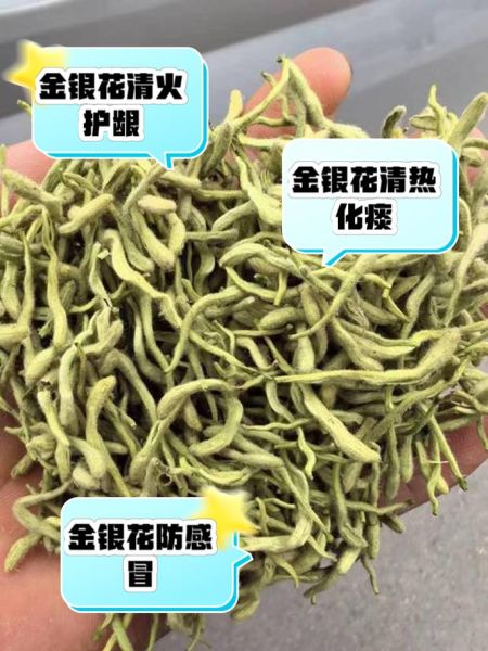 金银花泡水的作用与功效_金银花泡水能天天喝吗-第1张图片-山城妙识 金银花泡水的作用与功效_金银花泡水能天天喝吗-第1张图片-山城妙识