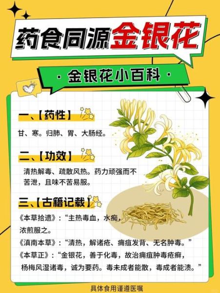金银花泡水的作用与功效_金银花泡水能天天喝吗-第3张图片-山城妙识 金银花泡水的作用与功效_金银花泡水能天天喝吗-第3张图片-山城妙识