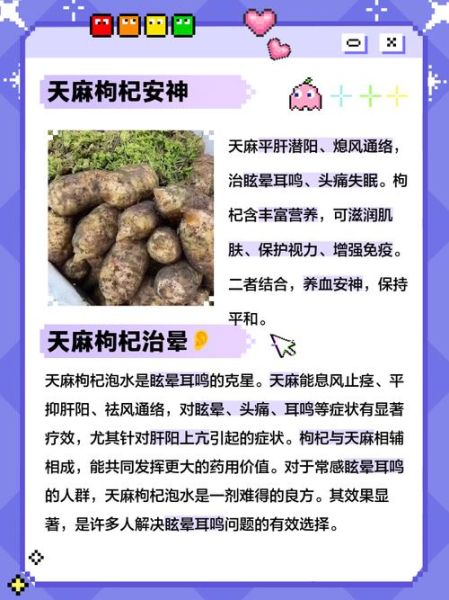 天麻泡水喝有什么功效_天麻泡水一天用量多少-第1张图片-山城妙识