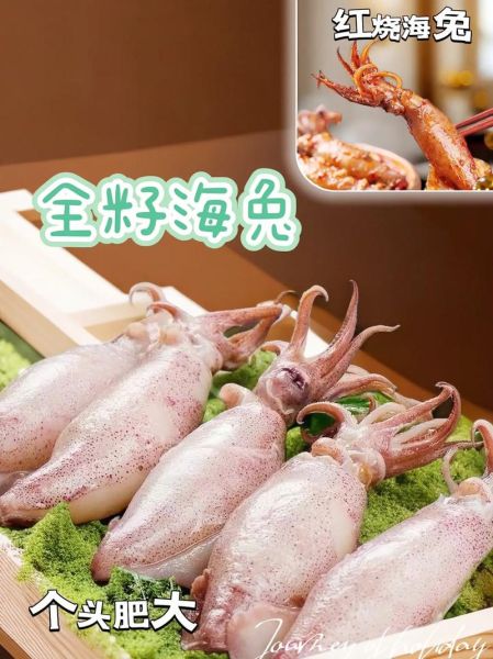 炒海兔怎么做好吃_海兔焯水几分钟-第2张图片-山城妙识 炒海兔怎么做好吃_海兔焯水几分钟-第2张图片-山城妙识