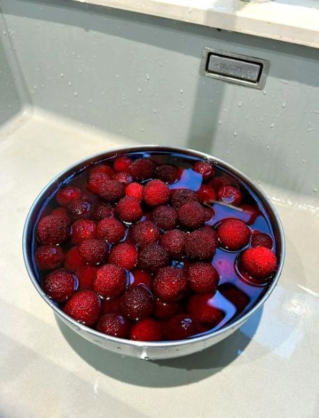 紫苏杨梅干怎么做_家庭自制紫苏杨梅干步骤-第2张图片-山城妙识