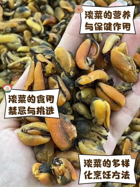 淡菜的功效与作用_淡菜怎么做好吃-第1张图片-山城妙识