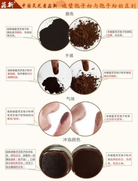 灵芝孢子粉一天吃几克_用量指南-第3张图片-山城妙识