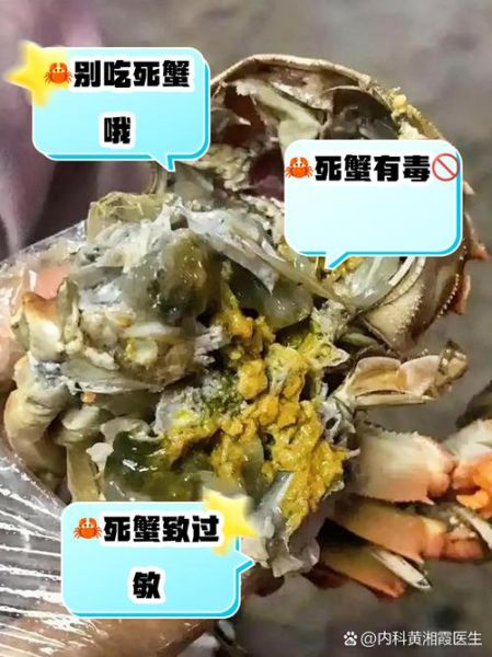 海螃蟹死了5小时还能吃吗_死蟹多久不能吃-第3张图片-山城妙识