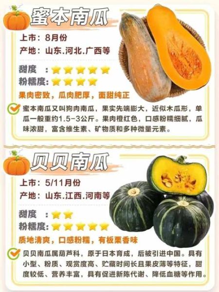 南瓜怎么保存不会坏_南瓜品种大全及名称-第1张图片-山城妙识 南瓜怎么保存不会坏_南瓜品种大全及名称-第1张图片-山城妙识