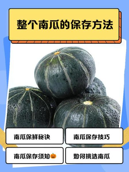南瓜怎么保存不会坏_南瓜品种大全及名称-第3张图片-山城妙识 南瓜怎么保存不会坏_南瓜品种大全及名称-第3张图片-山城妙识