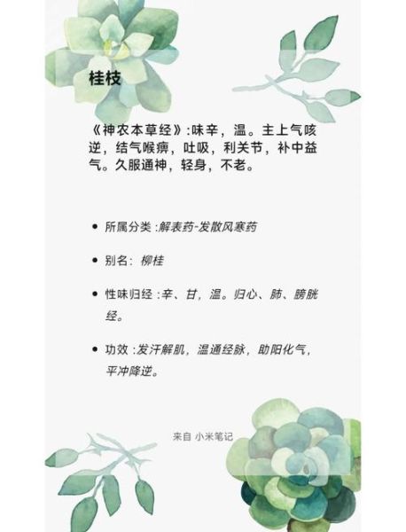 桂枝的功效与作用_桂枝适合哪些人吃-第1张图片-山城妙识