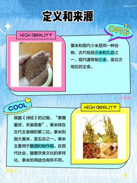 粟米是小米吗_粟米和小米的区别-第3张图片-山城妙识