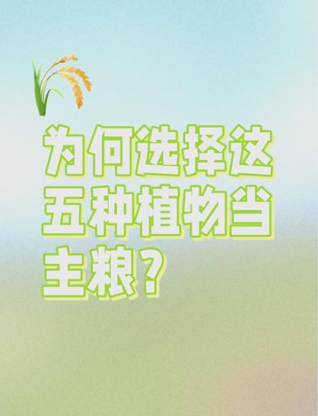 粟米是小米吗_粟米和小米的区别-第1张图片-山城妙识