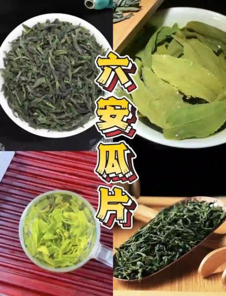 六安瓜片茶图片真假鉴别_六安瓜片茶图片高清细节-第1张图片-山城妙识