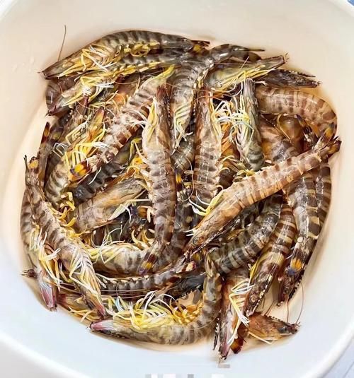 竹节虾和基围虾的区别_哪个更好吃-第1张图片-山城妙识