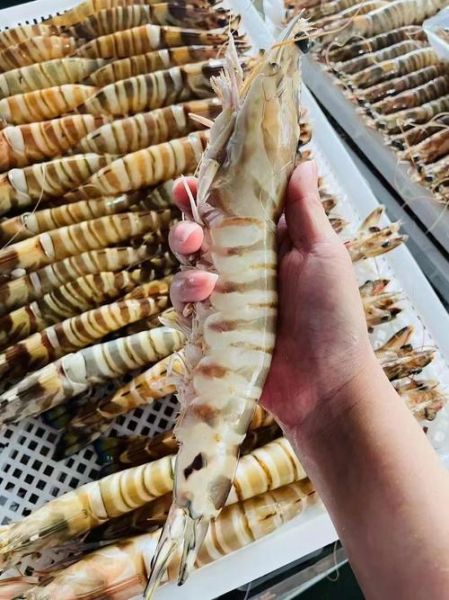 竹节虾和基围虾的区别_哪个更好吃-第2张图片-山城妙识