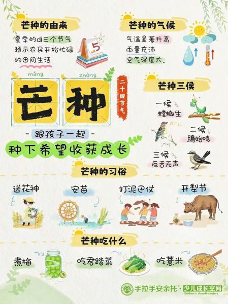 芒种节气的由来和习俗_芒种吃什么传统食物-第3张图片-山城妙识