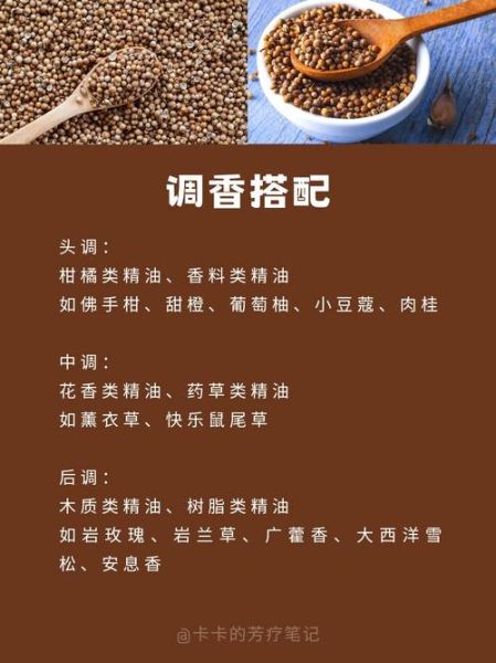 芫荽籽的功效与作用_芫荽籽怎么吃最好-第2张图片-山城妙识