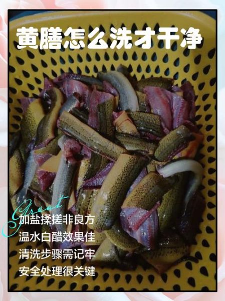 黄鳝寄生虫怎么处理_高温能杀死吗-第1张图片-山城妙识