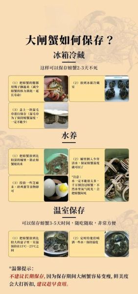 活螃蟹怎么保存过夜_放水还是不放水-第1张图片-山城妙识 活螃蟹怎么保存过夜_放水还是不放水-第1张图片-山城妙识