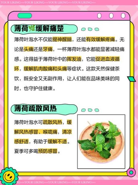 薄荷直接采摘泡水喝吗_新鲜薄荷泡水注意事项-第2张图片-山城妙识 薄荷直接采摘泡水喝吗_新鲜薄荷泡水注意事项-第2张图片-山城妙识