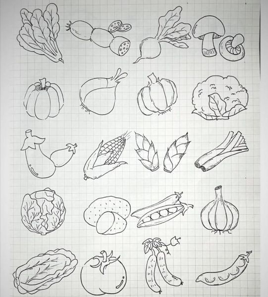 水果蔬菜简笔画怎么画_水果蔬菜简笔画教程-第1张图片-山城妙识