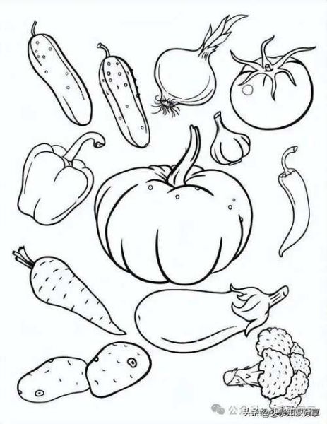 水果蔬菜简笔画怎么画_水果蔬菜简笔画教程-第3张图片-山城妙识