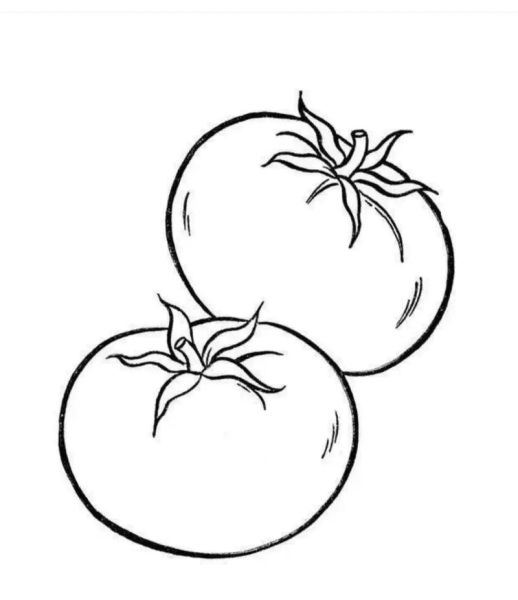 水果蔬菜简笔画怎么画_水果蔬菜简笔画教程-第2张图片-山城妙识