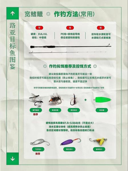 宽鳍鱲怎么钓_宽鳍鱲吃什么饵-第1张图片-山城妙识 宽鳍鱲怎么钓_宽鳍鱲吃什么饵-第1张图片-山城妙识