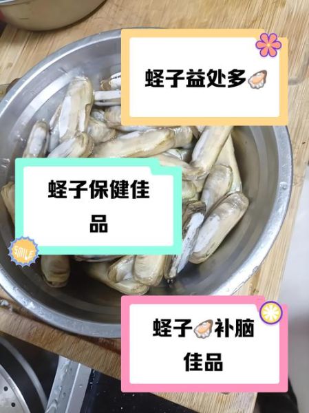 蛏子营养价值高吗_蛏子多少钱一斤-第1张图片-山城妙识