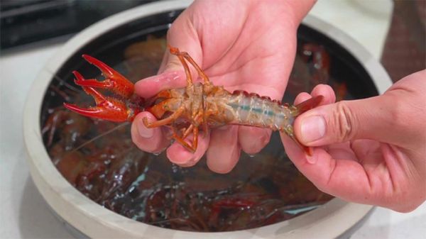小龙虾怎么清洗才干净_小龙虾怎么处理才干净-第3张图片-山城妙识