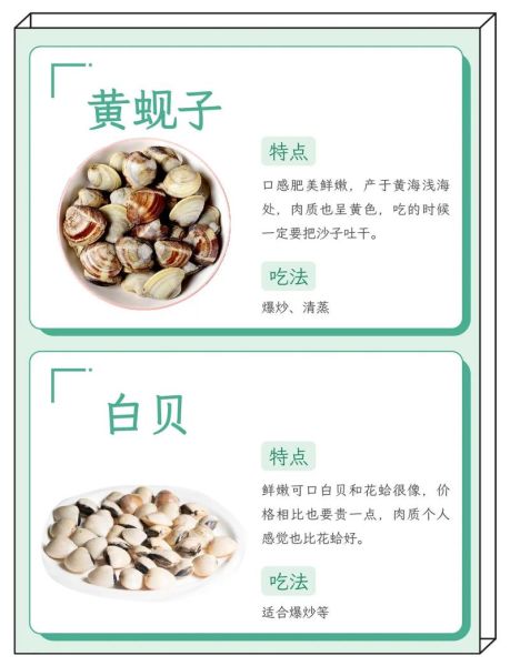 蛤蜊是不是花甲_花甲和蛤蜊的区别-第1张图片-山城妙识 蛤蜊是不是花甲_花甲和蛤蜊的区别-第1张图片-山城妙识