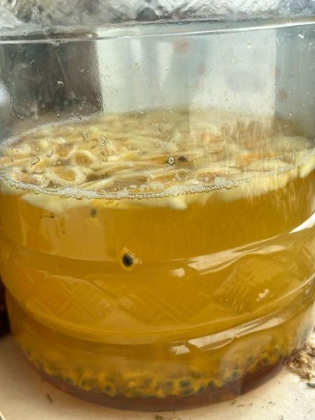 水果酵素的作用与功效及副作用_水果酵素能长期吃吗-第1张图片-山城妙识