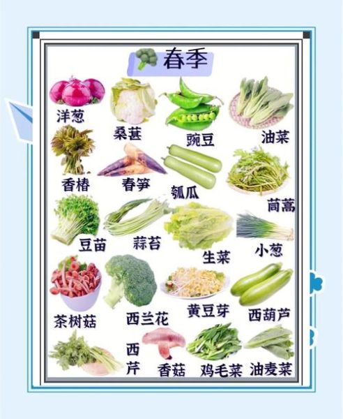 夏天适合吃什么蔬菜_夏季时令蔬菜有哪些-第3张图片-山城妙识 夏天适合吃什么蔬菜_夏季时令蔬菜有哪些-第3张图片-山城妙识